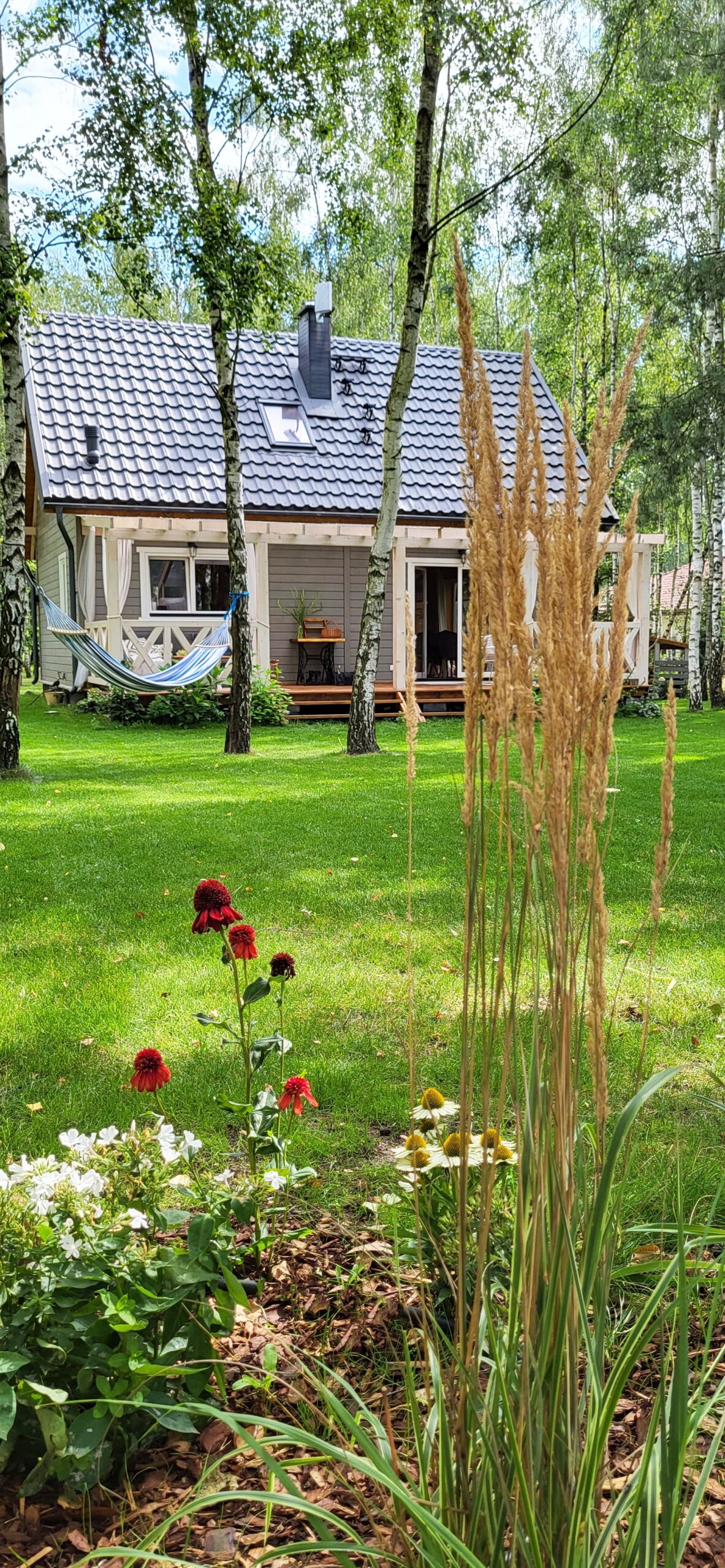 Pani Katarzyna - Piętrowy Szkielet - Dom CAS PIĘTROWY Szkielet ...